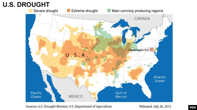 US Drought Impacts Global Food Security | Judgement Of America